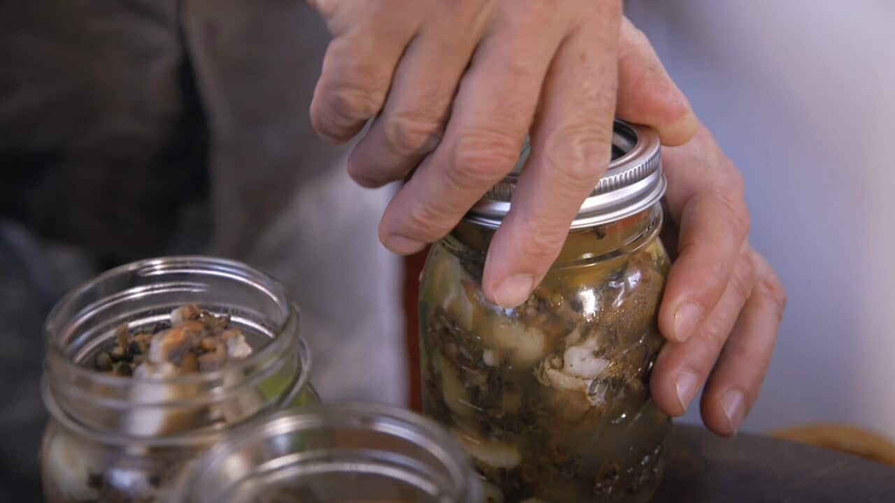 how to cook octopus for pickling