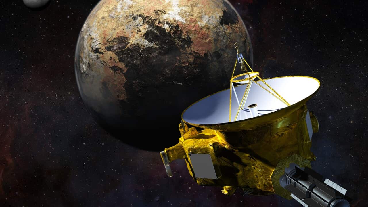 Pluto mission brings hope to 'wretched species', scientist says | SBS News