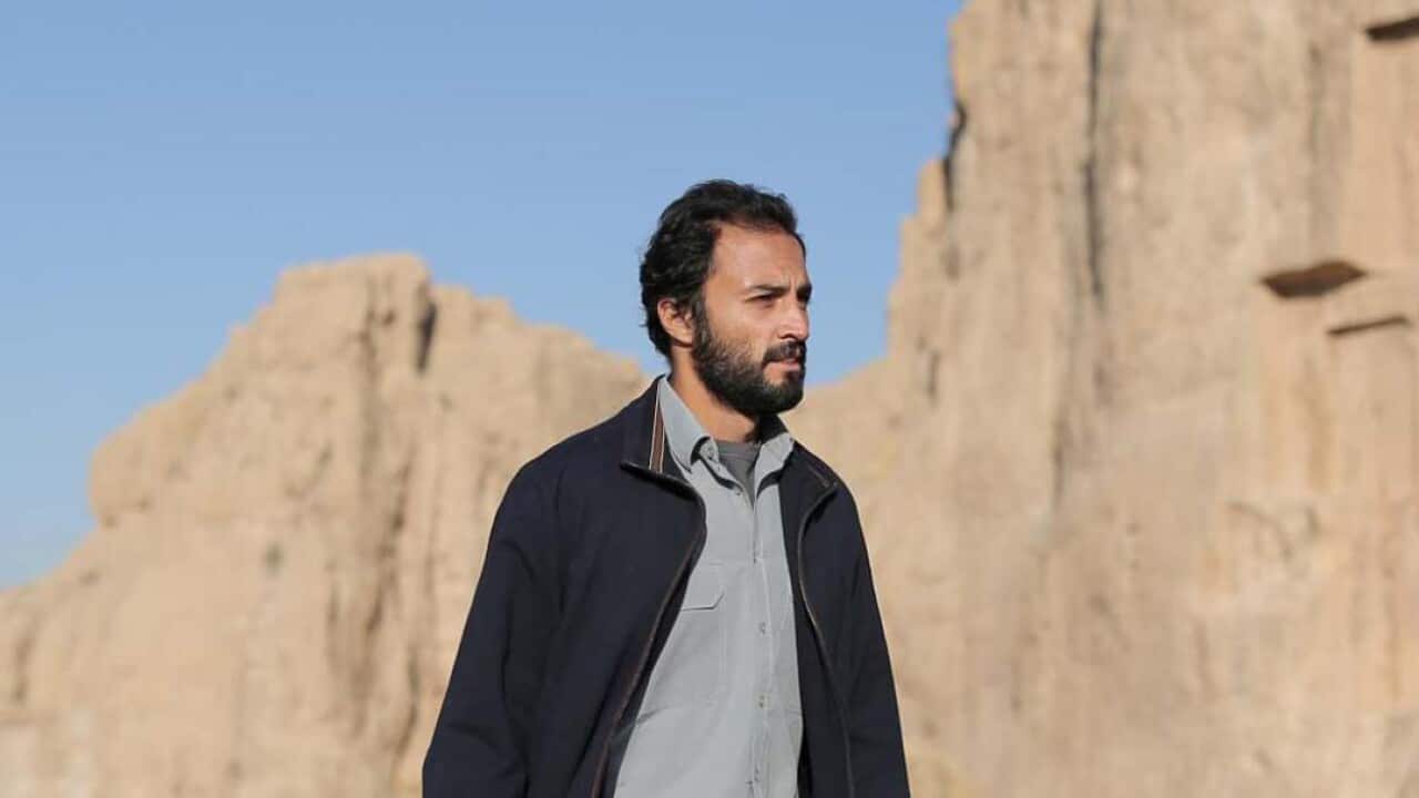 dan zero dark thirty