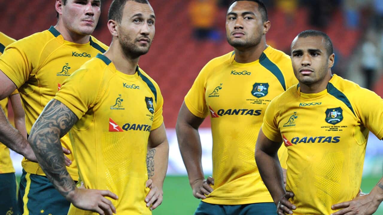 wallabies team