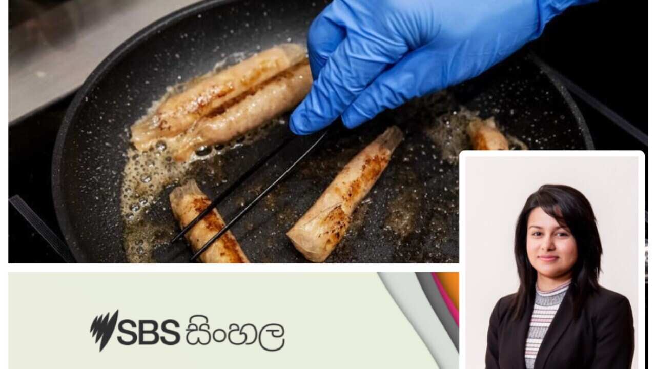 Do you also like to eat meat without killing animals? Let's get to know the 'Vegan-meat' in ...