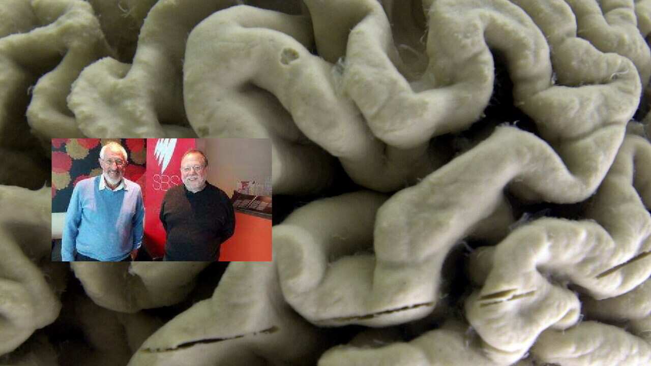 #Archives - 2014 : Voyage au cœur d'Alzheimer avec les professeurs ...