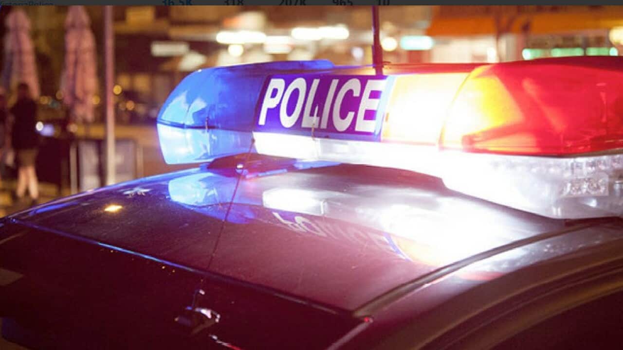 Everyday life of a police officer | SBS German