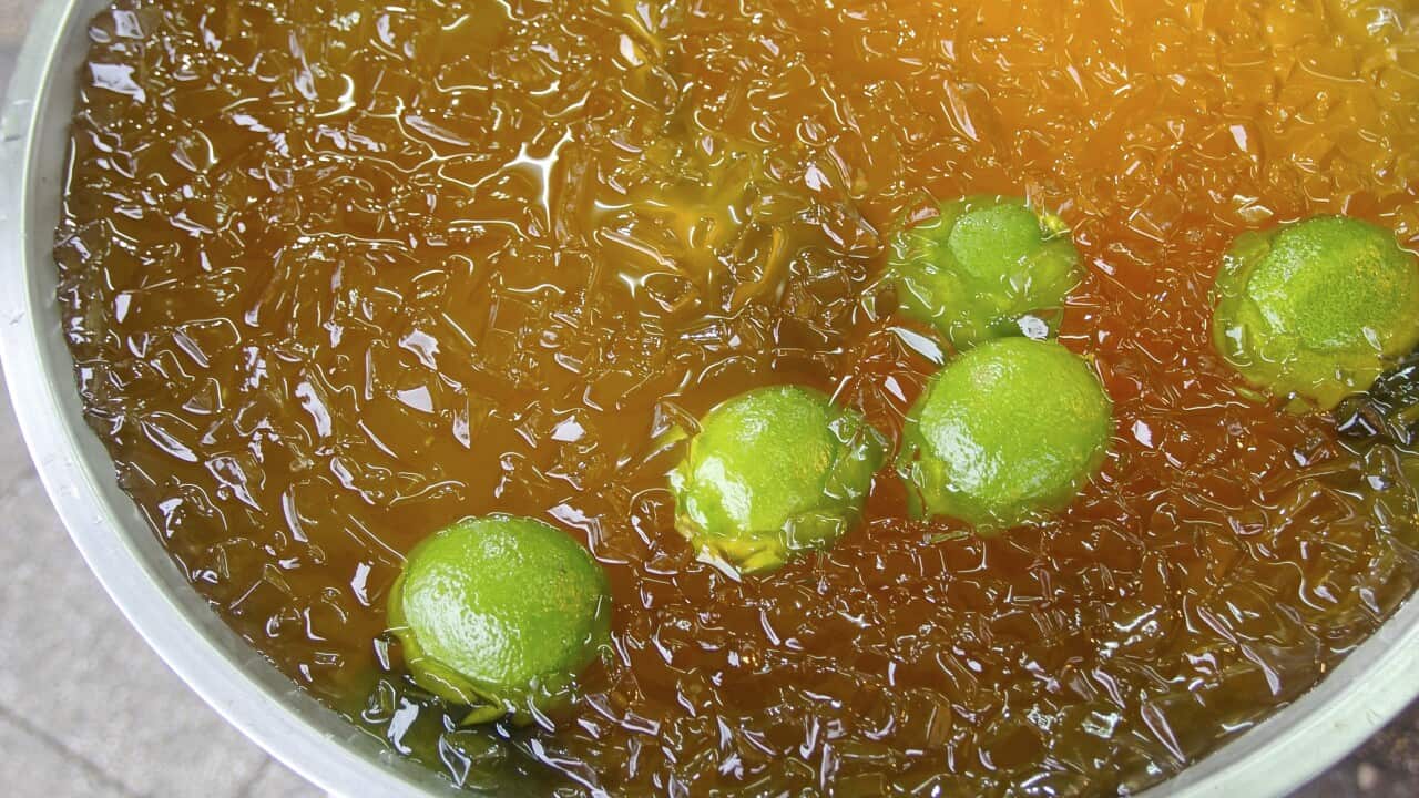 Refresh yourself with natural Taiwanese aiyu jelly | SBS Food