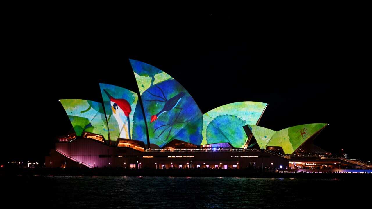 Vivid festival lights up Sydney | SBS Kurdish Vivid festival lights up Sydney | SBS Kurdish