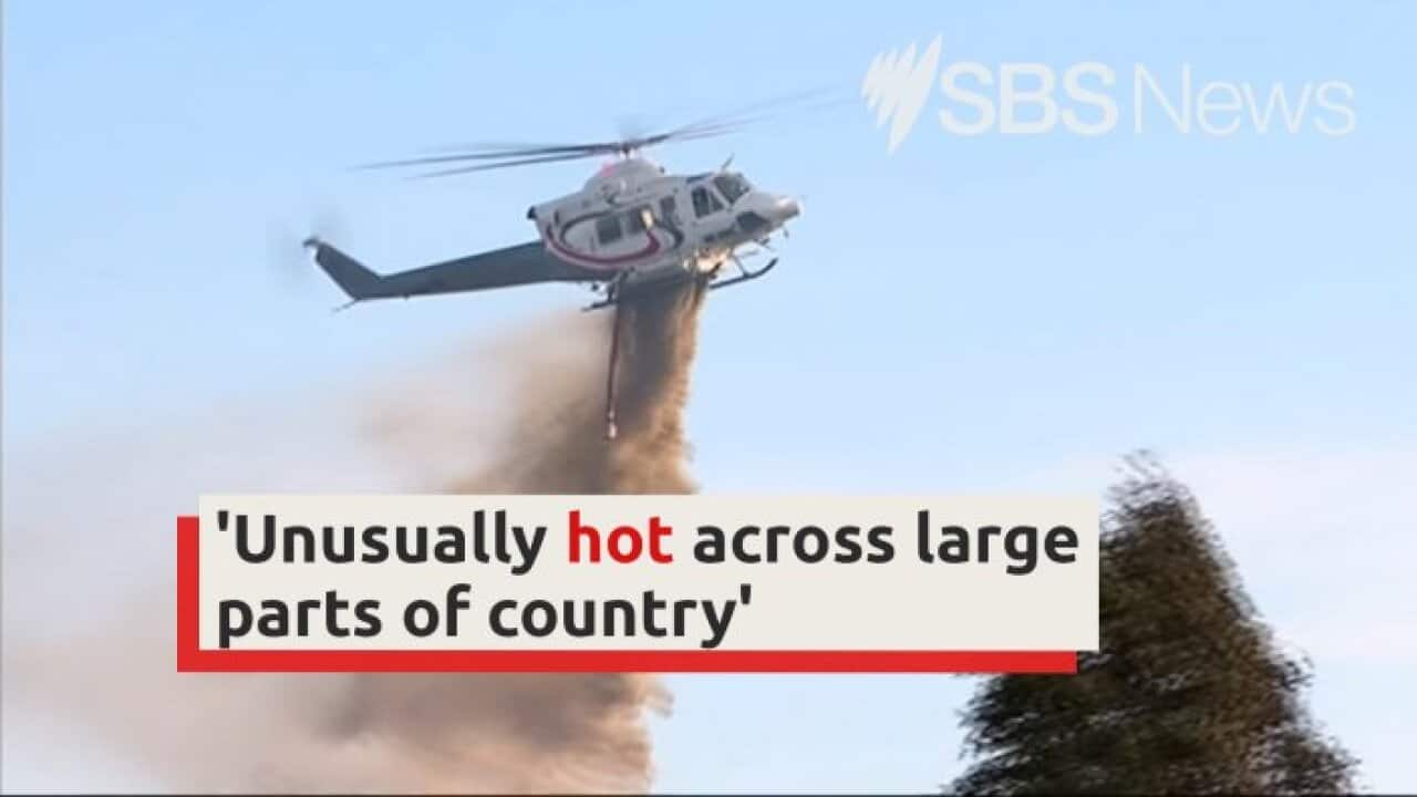 Hot weather brings a taste of summer to winter I SBS News | SBS News