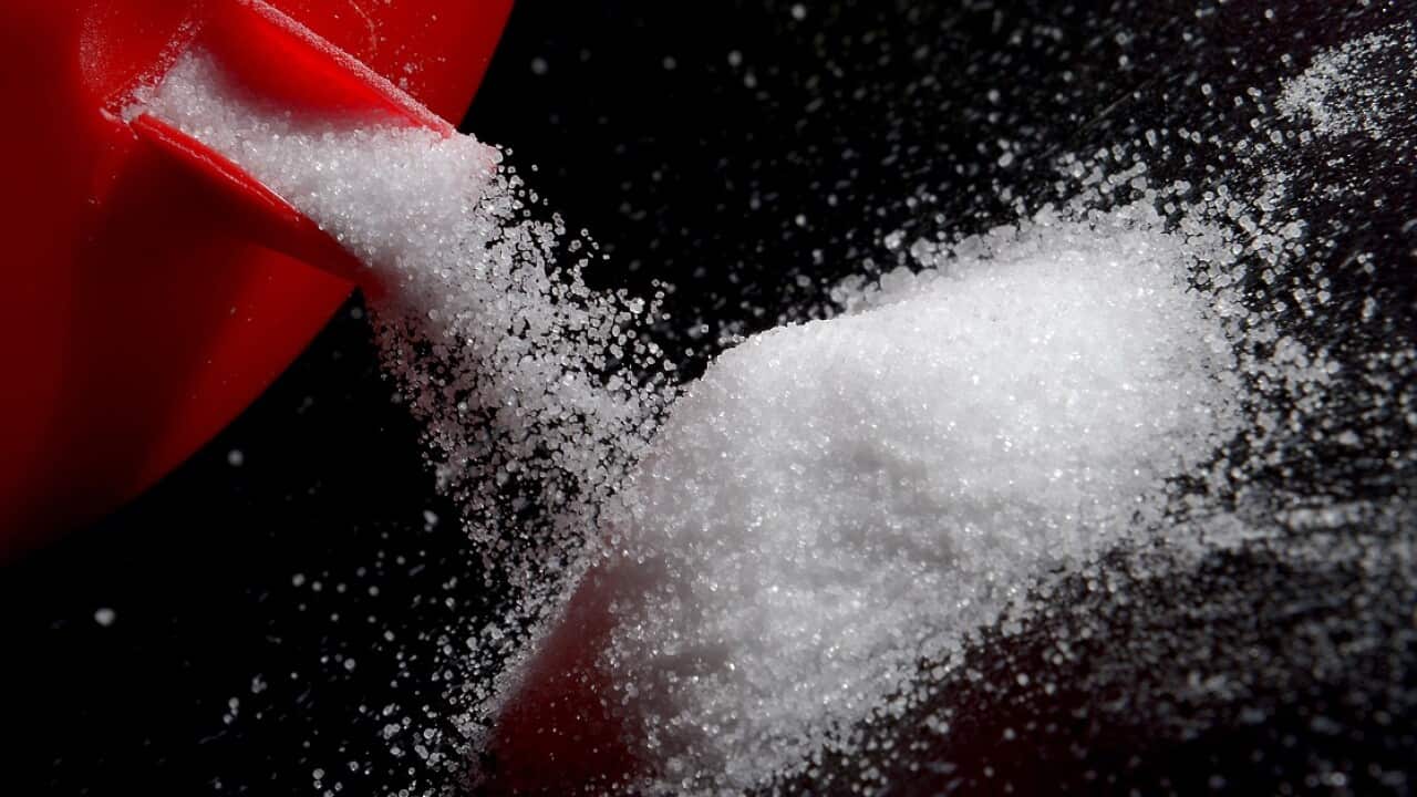 does salt kill all bacteria