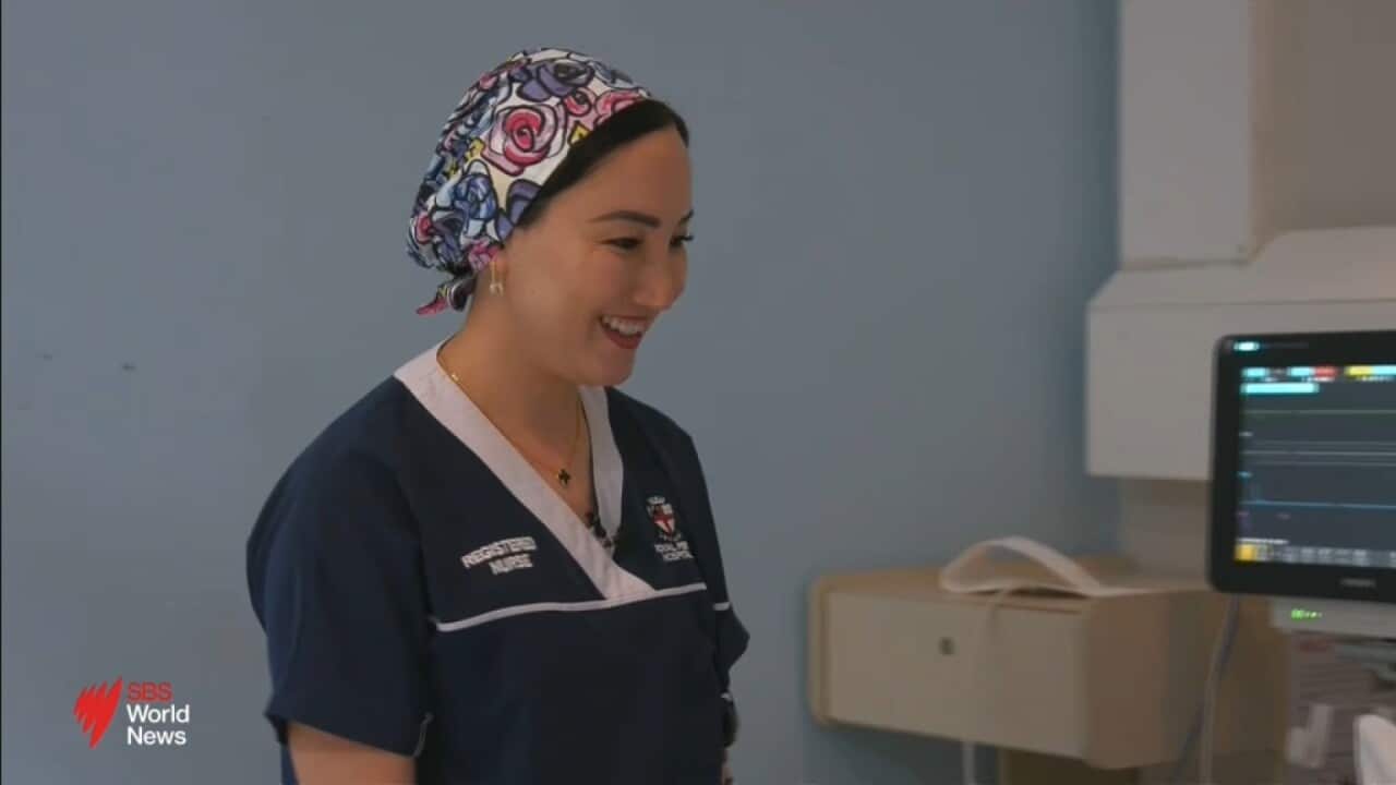From Iran to ICU: One nurse’s journey and the push to reform Australia’s workforce I SBS NEWS ...