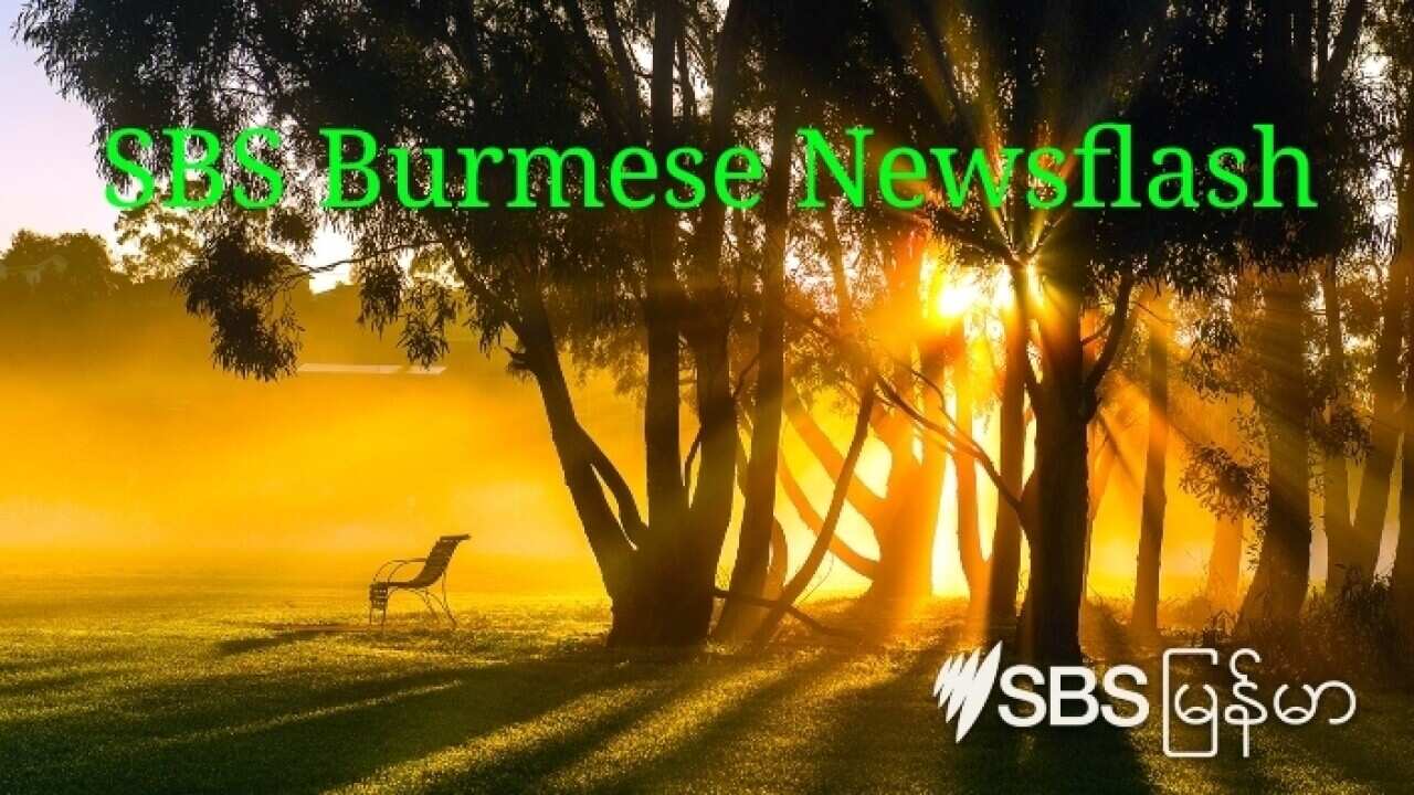 ALC: ၂၀၂၅ ခုနှစ် January ၂၉ ရက်, SBS Burmese News Flash. | SBS Burmese