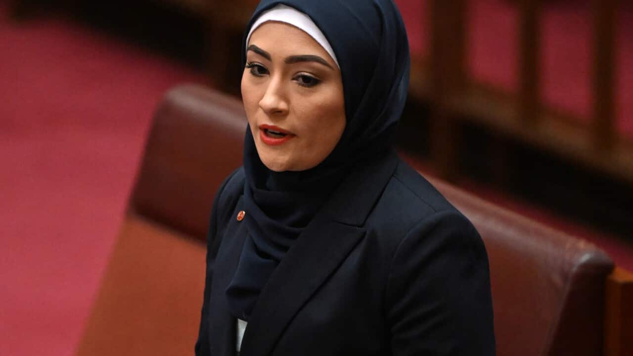 Fatima Payman Encourages Muslim Girls Who Wear The Hijab To ‘do It With
