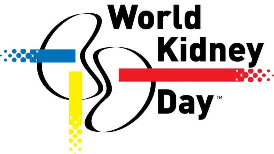Let s Talk About Kidney Diseases SBS Sinhala let-s-talk-about-kidney-diseases-sbs-sinhala