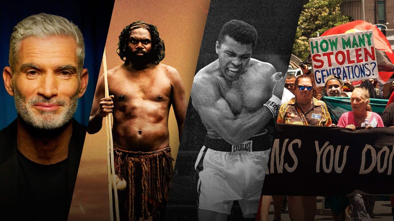 Guest Curator Craig Foster Selects His Sbs On Demand Favourites Sbs