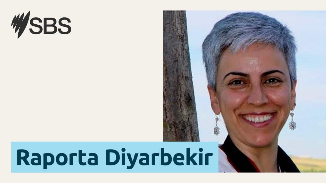 Gelo geşedanên vê dawiyê bandoreke neyênî li ser pêvajoya aştiyê li Tirkiyê bike? | SBS Kurdish