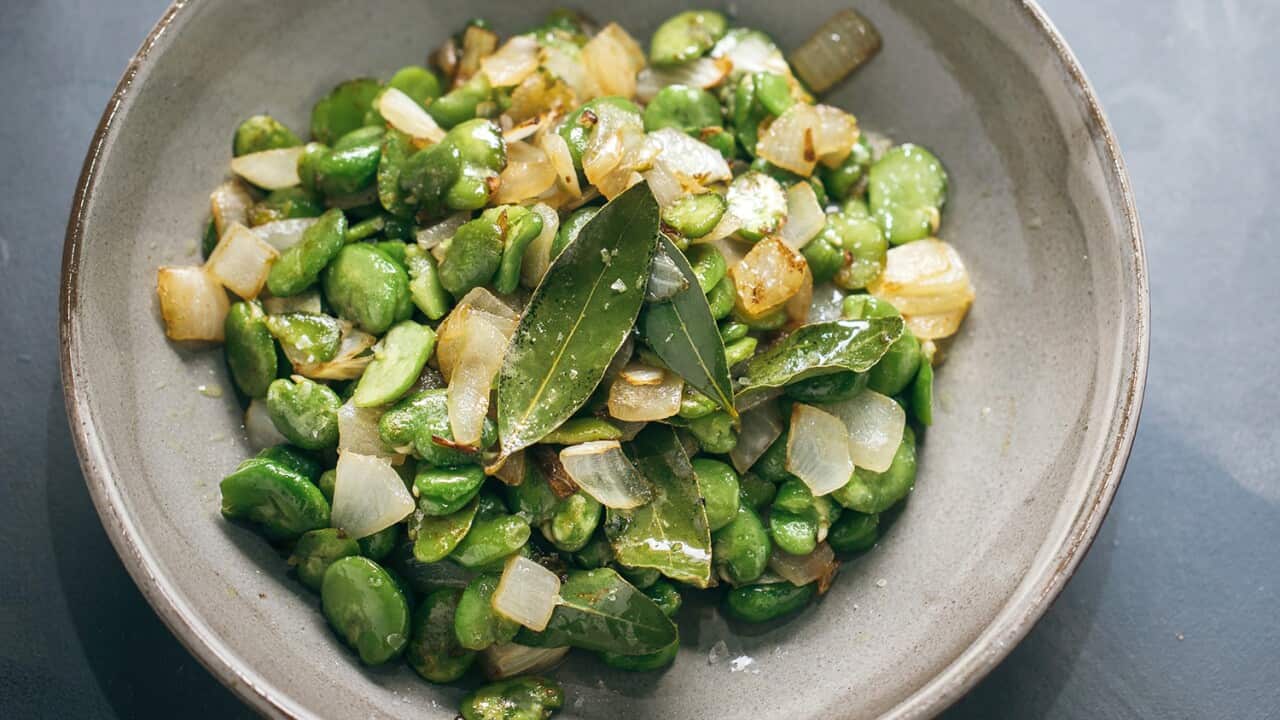 how to cook broad beans fresh