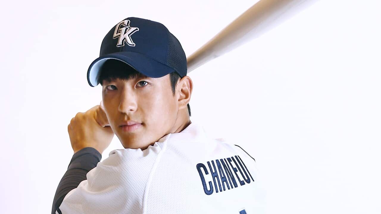 송찬의 ABL 1라운드 최우수타자…김민석, 박찬혁, 하재훈 등 2라운드 합류 | SBS Korean