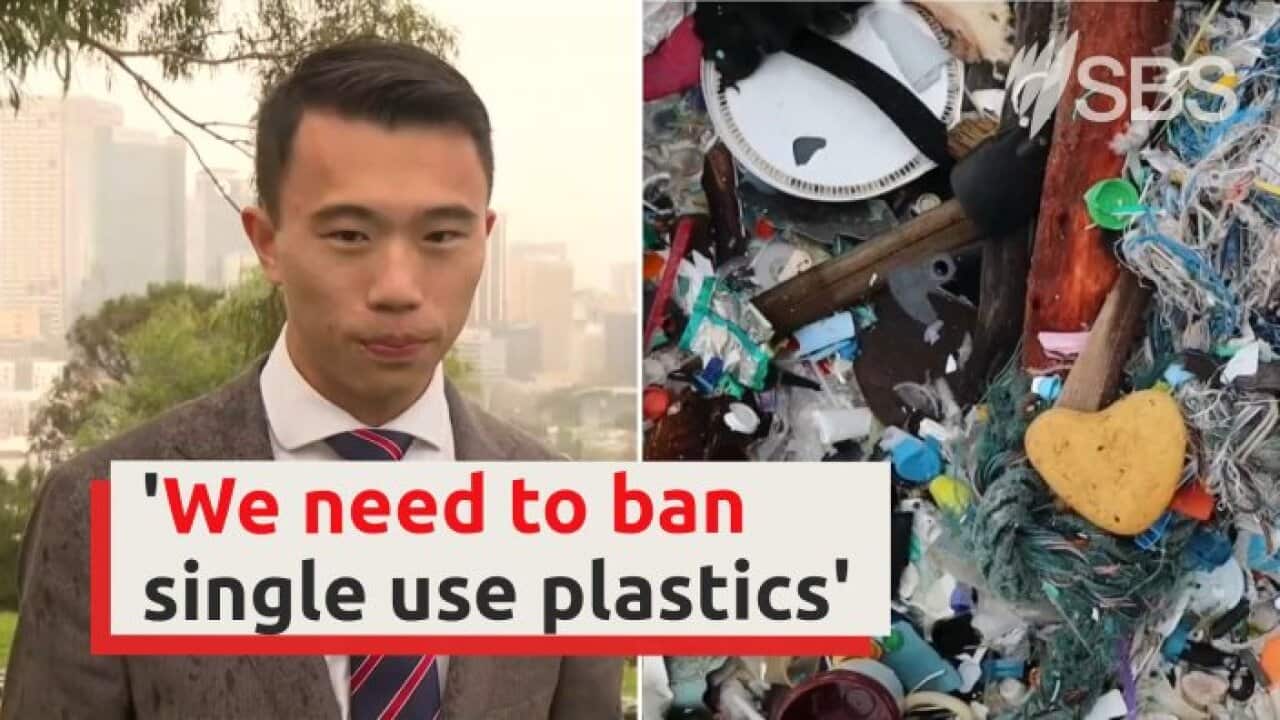 The Perth bioplastics hub helping to reduce plastic pollution | SBS ...