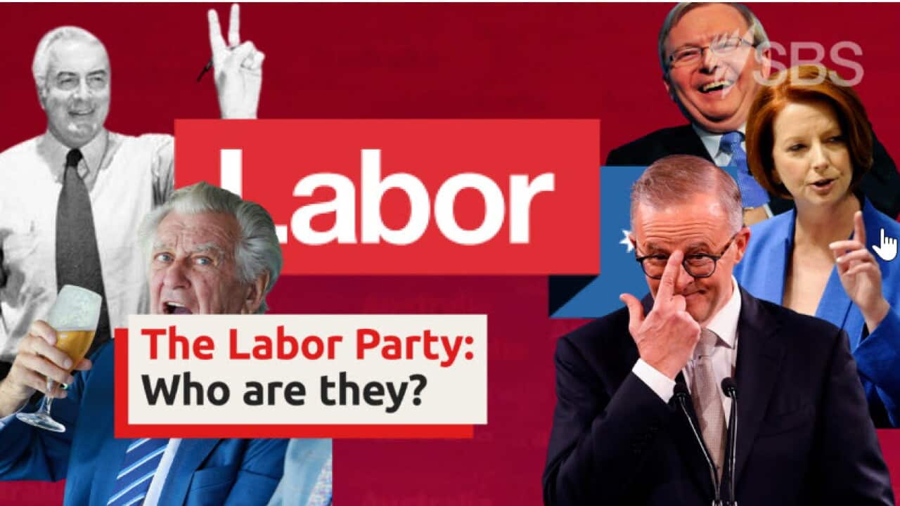 Elections 2025: who is the Labor Party? | SBS Assyrian