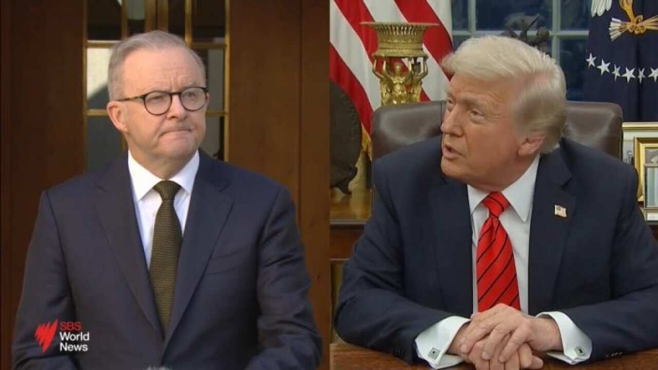 Countdown on for Canada, Australia, as US tariffs loom | SBS News | SBS ...