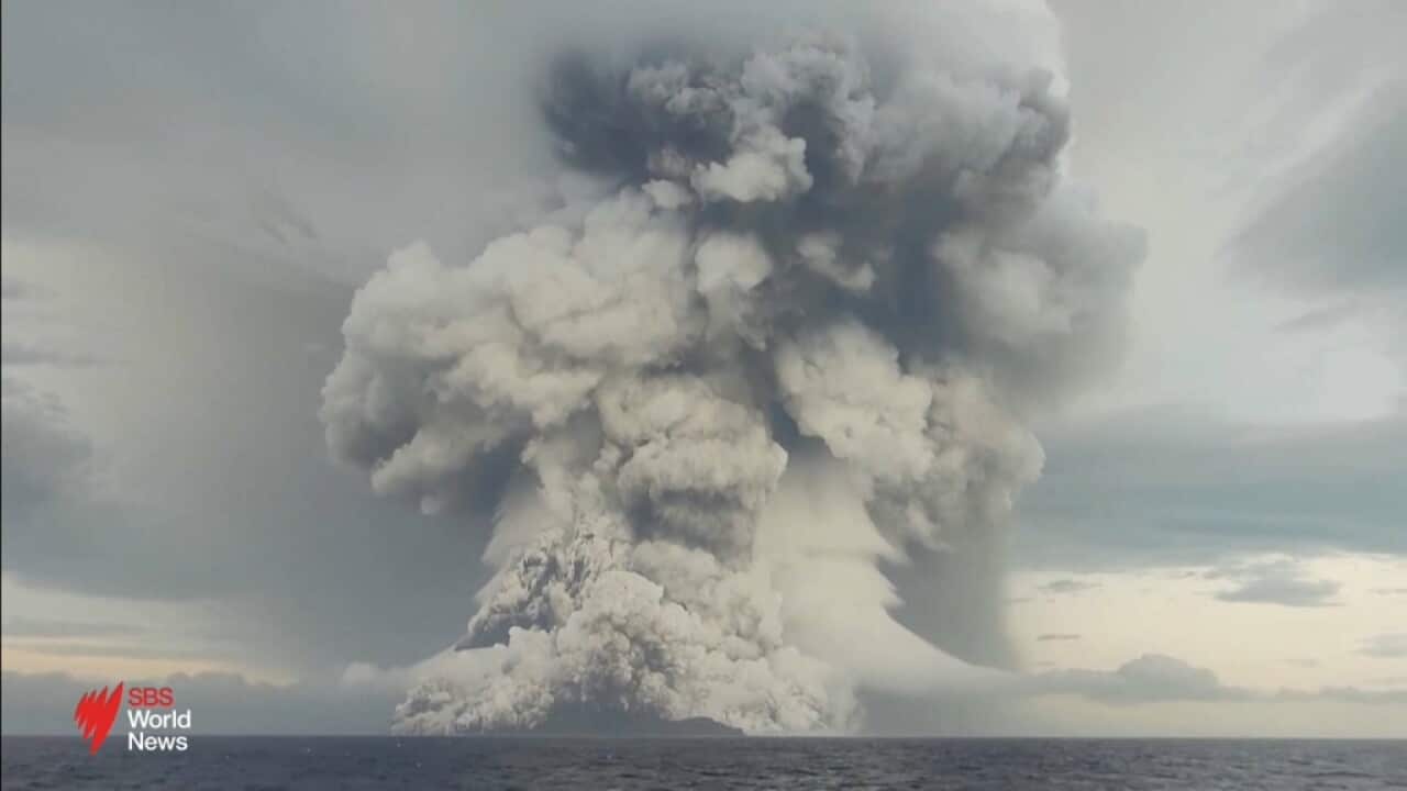 Signs of life emerging almost four years on from eruption of Hunga ...