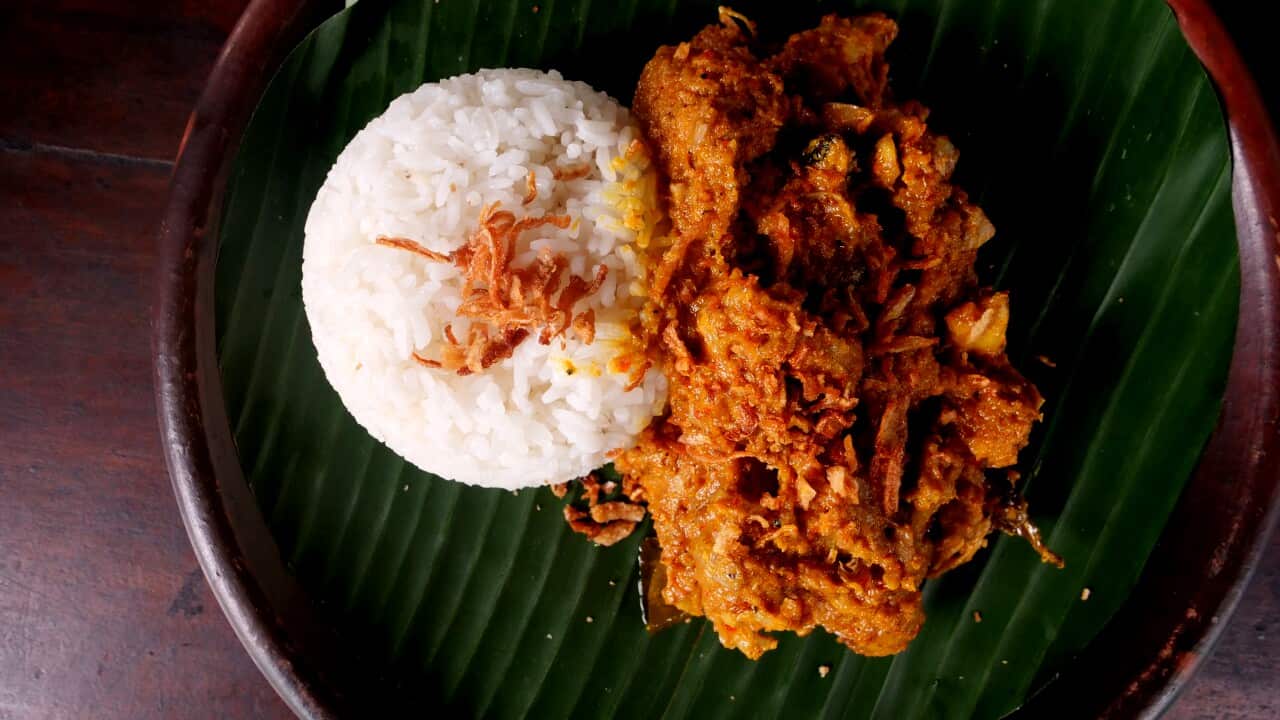 Jackfruit rendang recipe | SBS Food