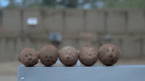 exploding watermelon gif