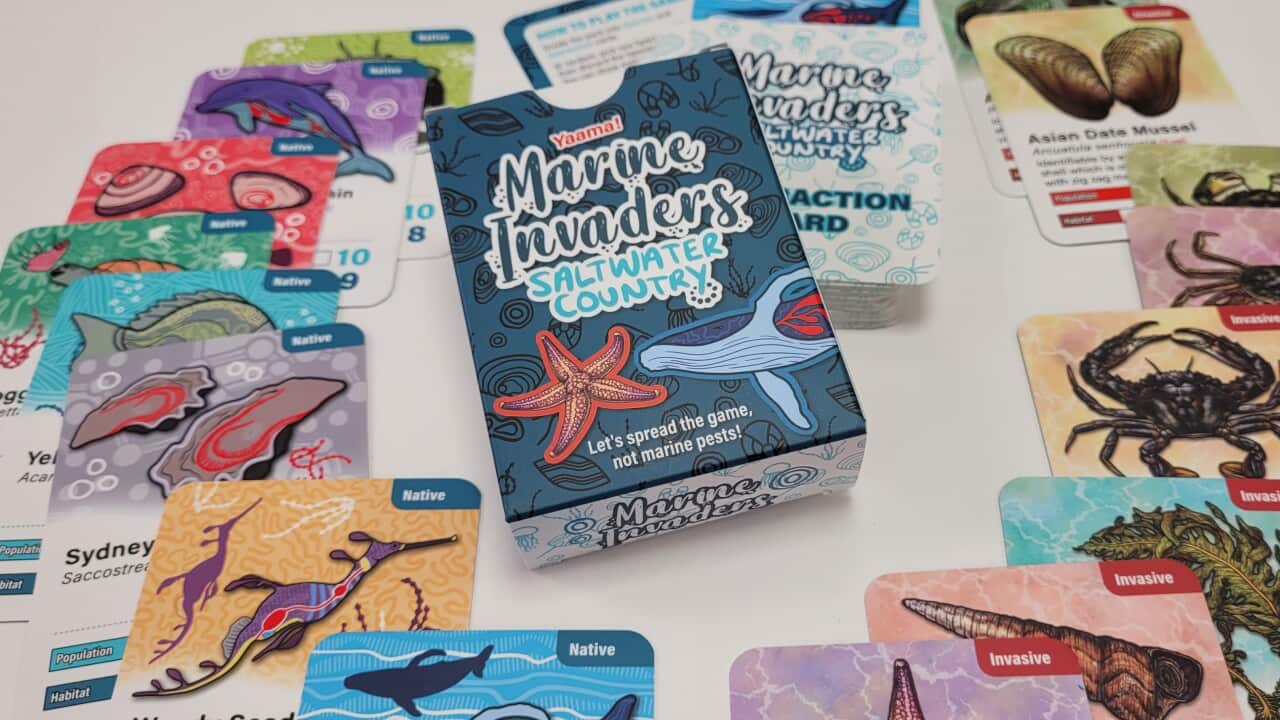 New card game 'Marine Invaders' is teaching young people about invasive ...