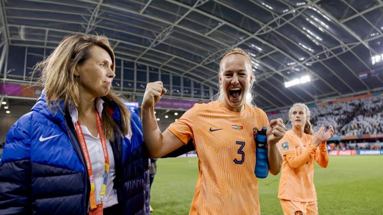 knvb lionesses