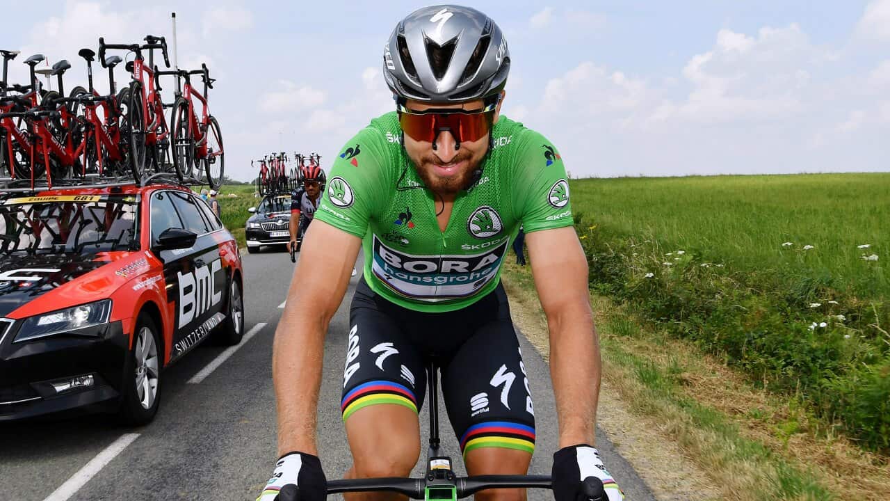 peter sagan