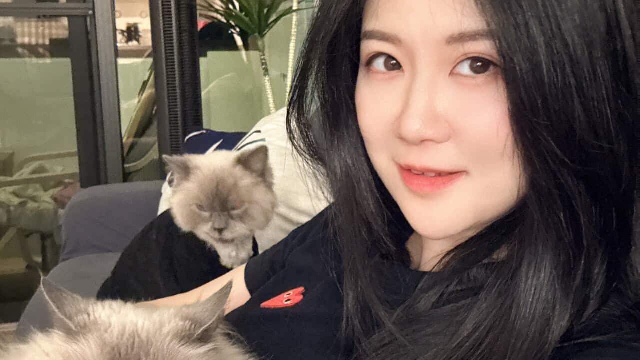 【我们的故事】金融才女的 “宠” 爱转身：Jessica Hu 的别样旅程 | SBS Chinese