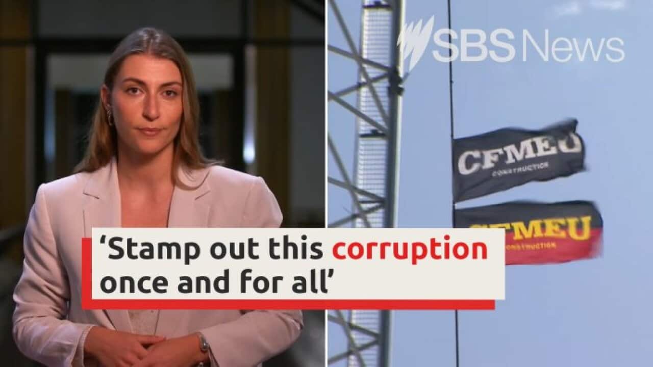 Administrator appointed to overhaul CFMEU amid corruption allegations I SBS News | SBS News