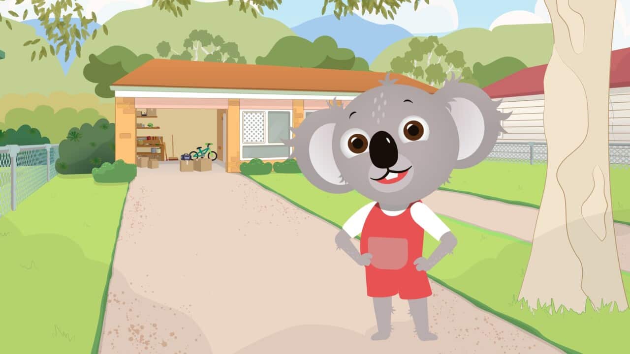 Kit the Koala: the mob-made animation destigmatising and embracing neurodivergence | SBS NITV