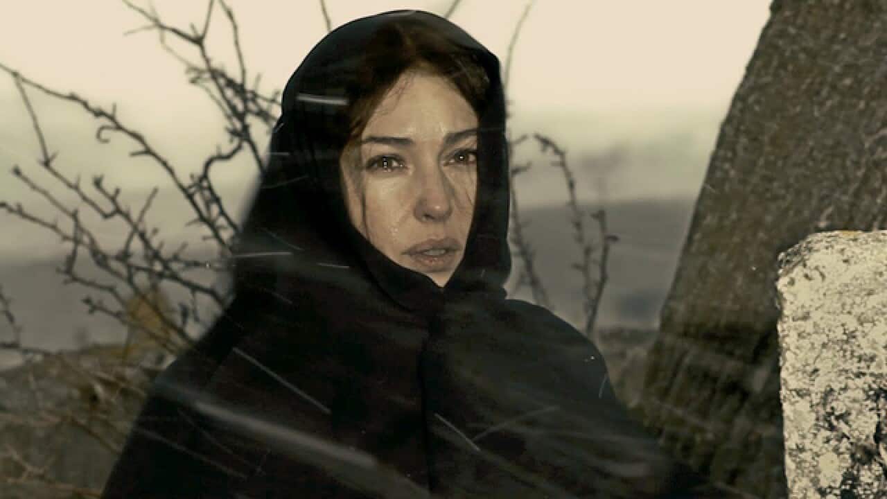 Rhino Season: Bahman Ghobadi, Monica Bellucci interview | SBS What's On