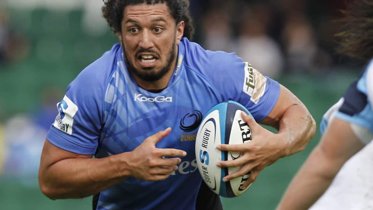 waratahs western force