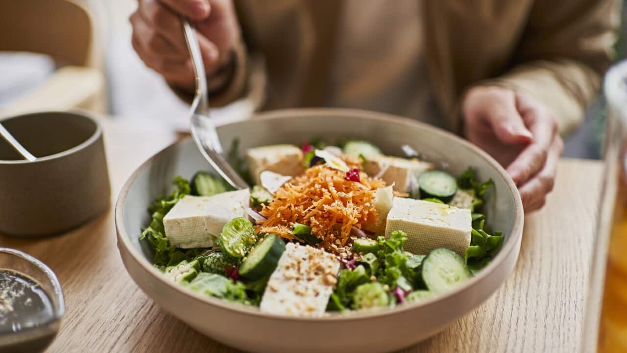 antonia wright dietitian