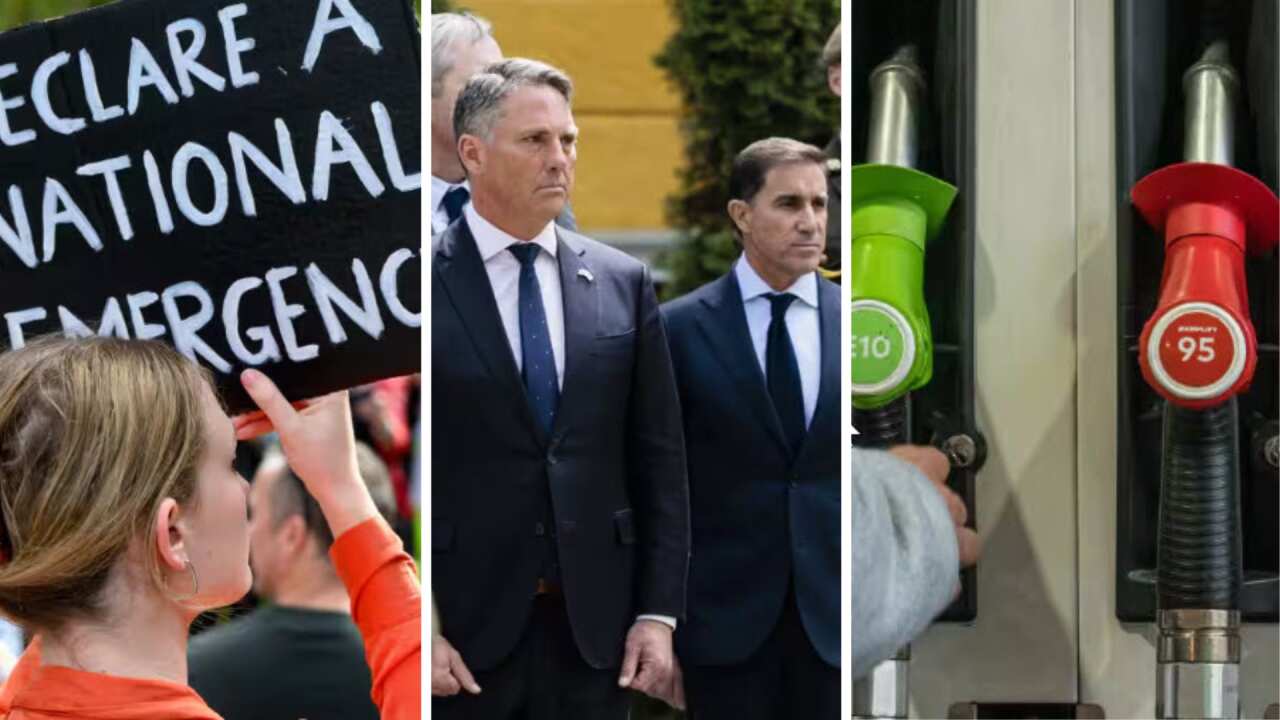 Δελτίο Ειδήσεων Κυριακή 28 Απριλίου 2024 | SBS Greek