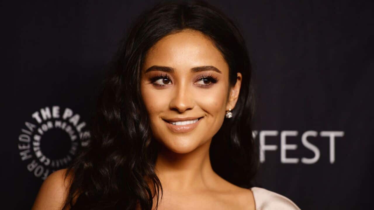 shay mitchell contact