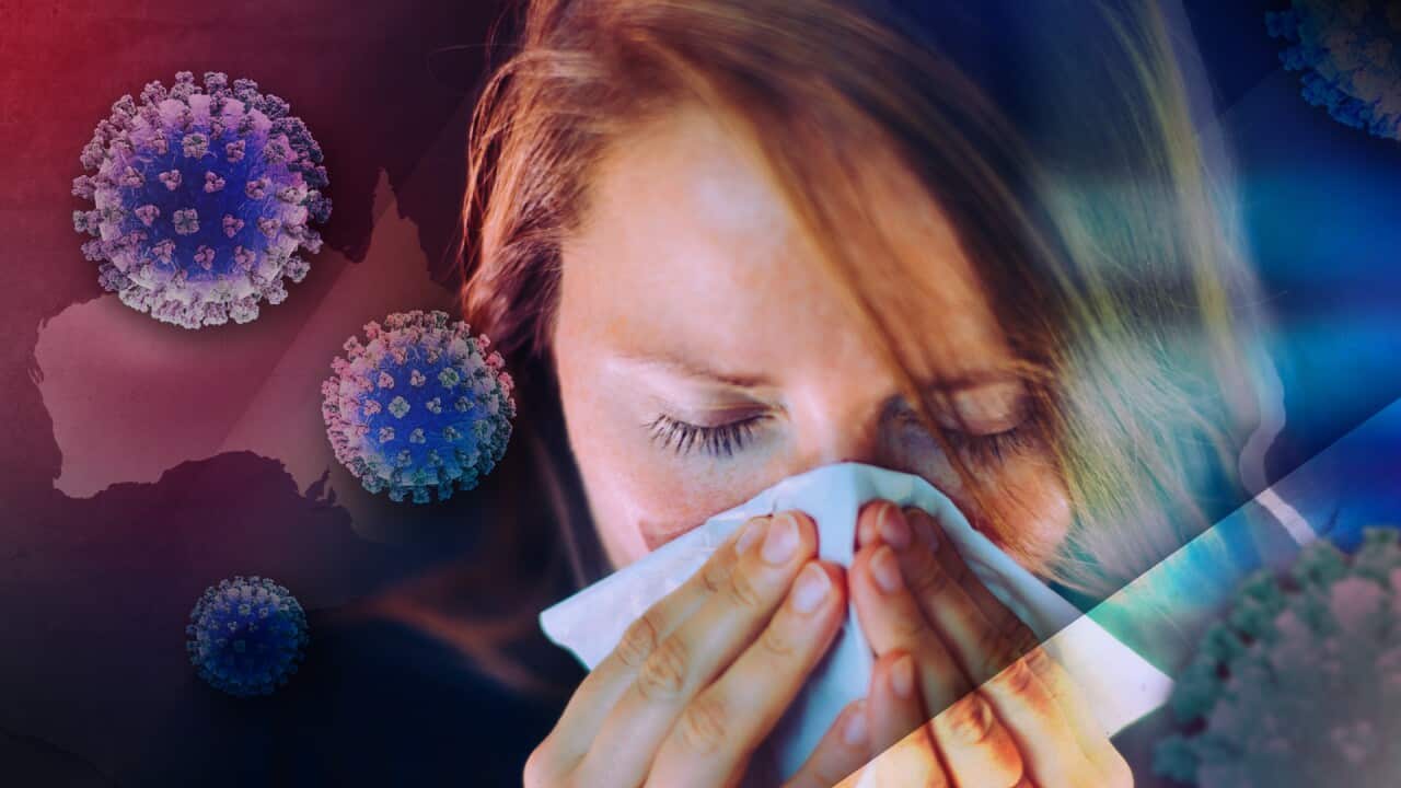 common cold statistics australia