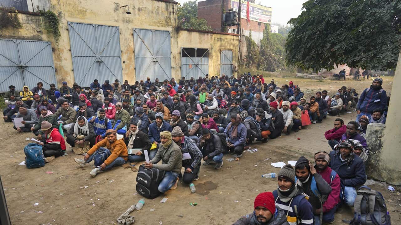 Israel turns to India to replace Palestinian workforce | SBS News Israel turns to India to replace Palestinian workforce | SBS News