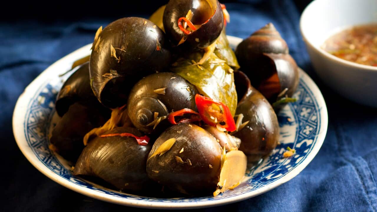 Ninh Binh snails cooked in lemongrass and chilli (oc luoc xa) recipe ...