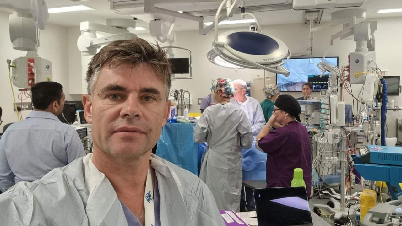 Professor Yastrebov: "We have played a role in making echocardiography available to all ...