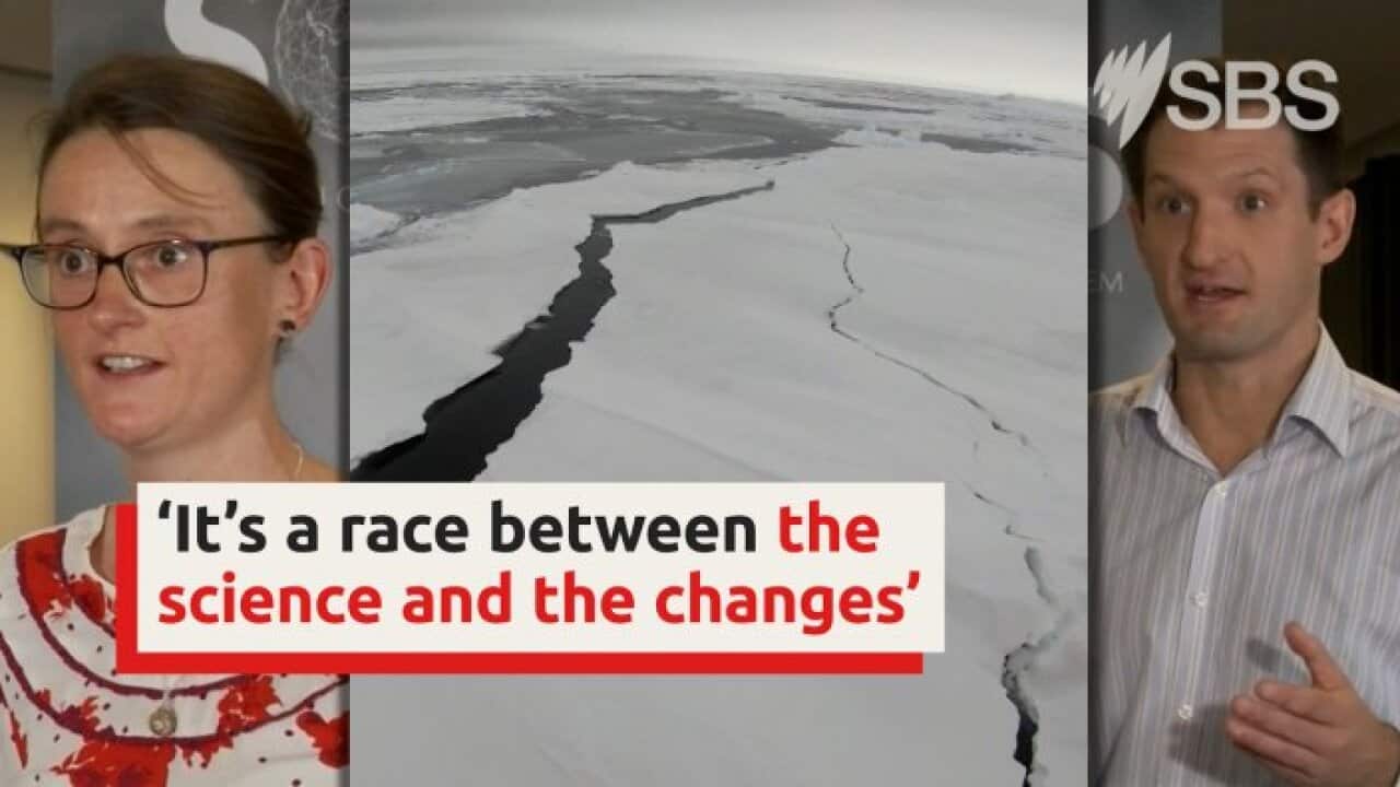 Scientists call for urgent expansion of Southern Ocean research I SBS ...