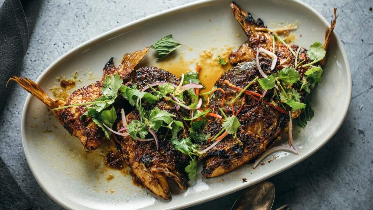 how to cook king fish