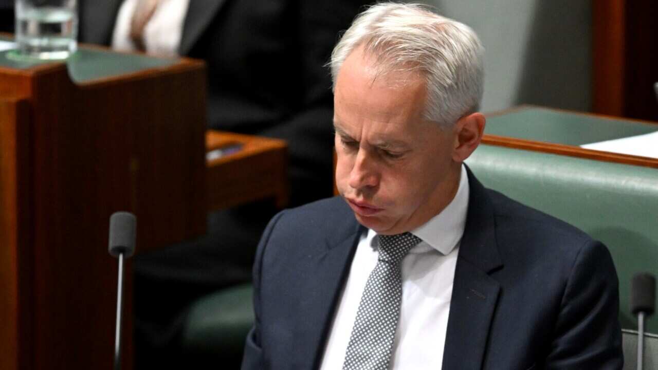 Federal Government Admits It Issued Invalid Visas To Immigration