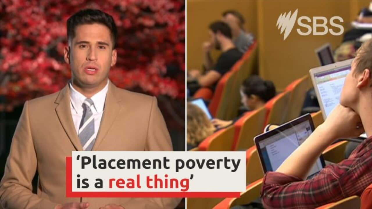 Albanese announces new funding to address 'Placement Poverty' I SBS News | SBS News