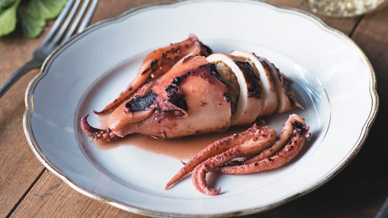 how to cook squid
