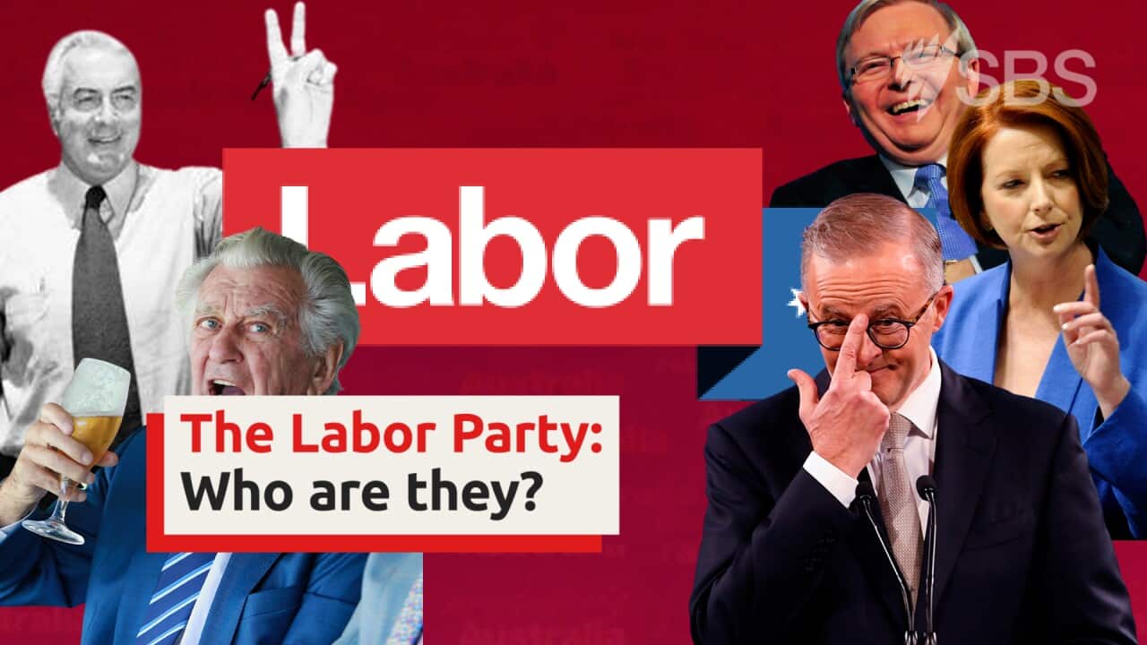 The Labor Party: A brief history | SBS News