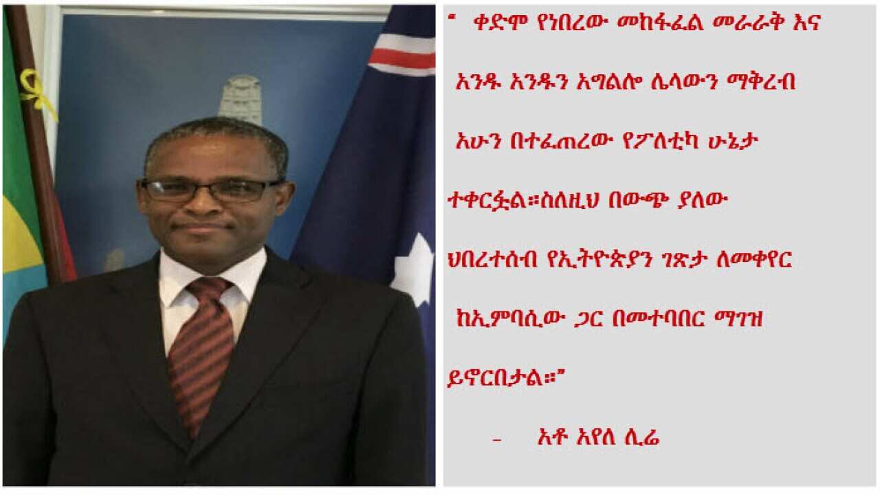 Interview with Ato Ayele Lire | SBS Amharic