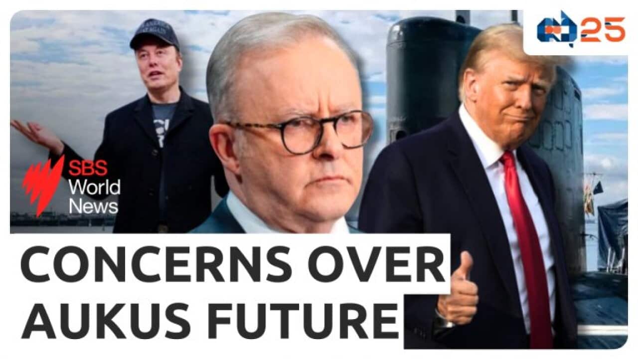 AUKUS future in doubt as Elon Musk takes over US shipbuilding | SBS ...