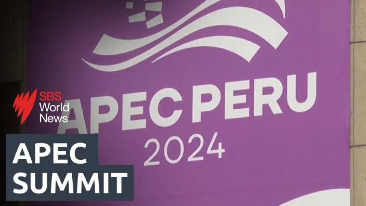 APEC partners prepare for a threatened future of high US trade tariffs I SBS News | SBS News
