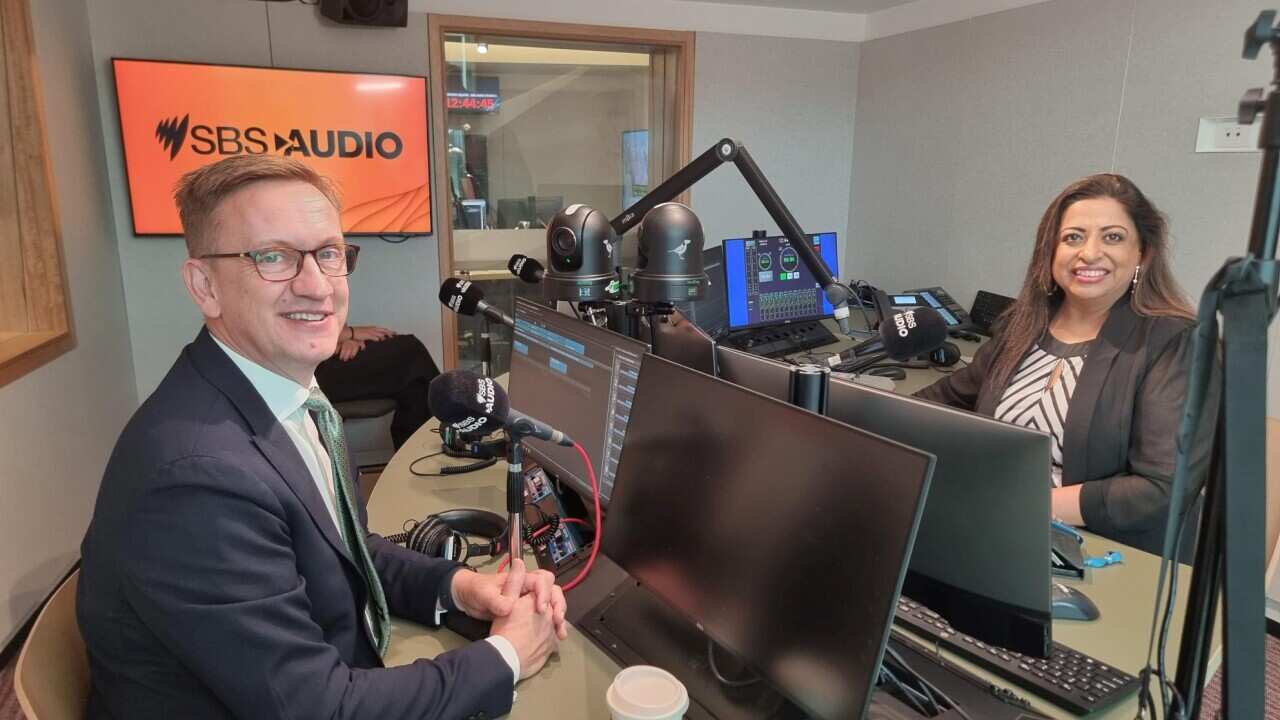 One of Australia’s tallest metal statues unveiled in Sydney by Indian community | SBS Hindi